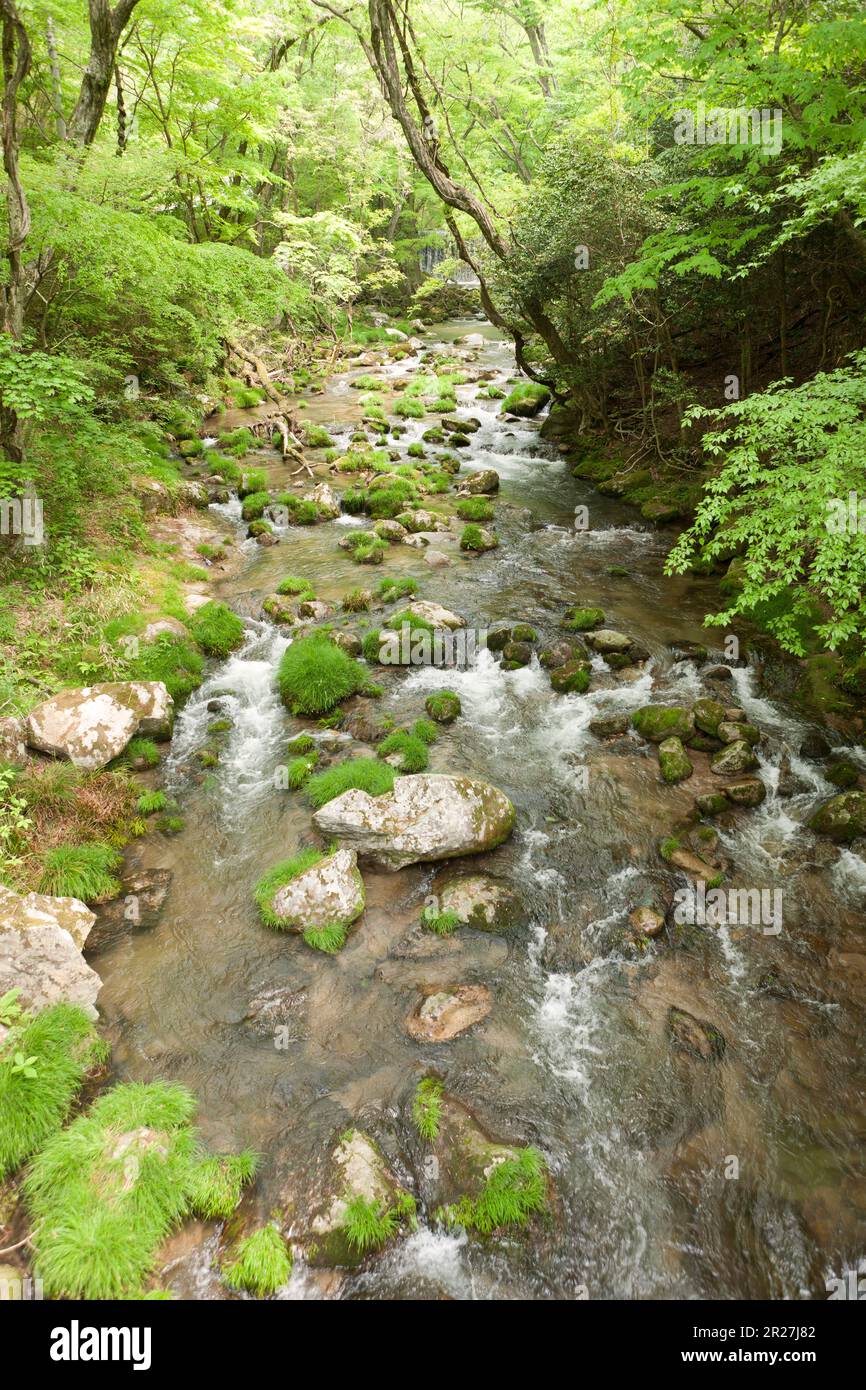 Hananuki valley hi-res stock photography and images - Alamy