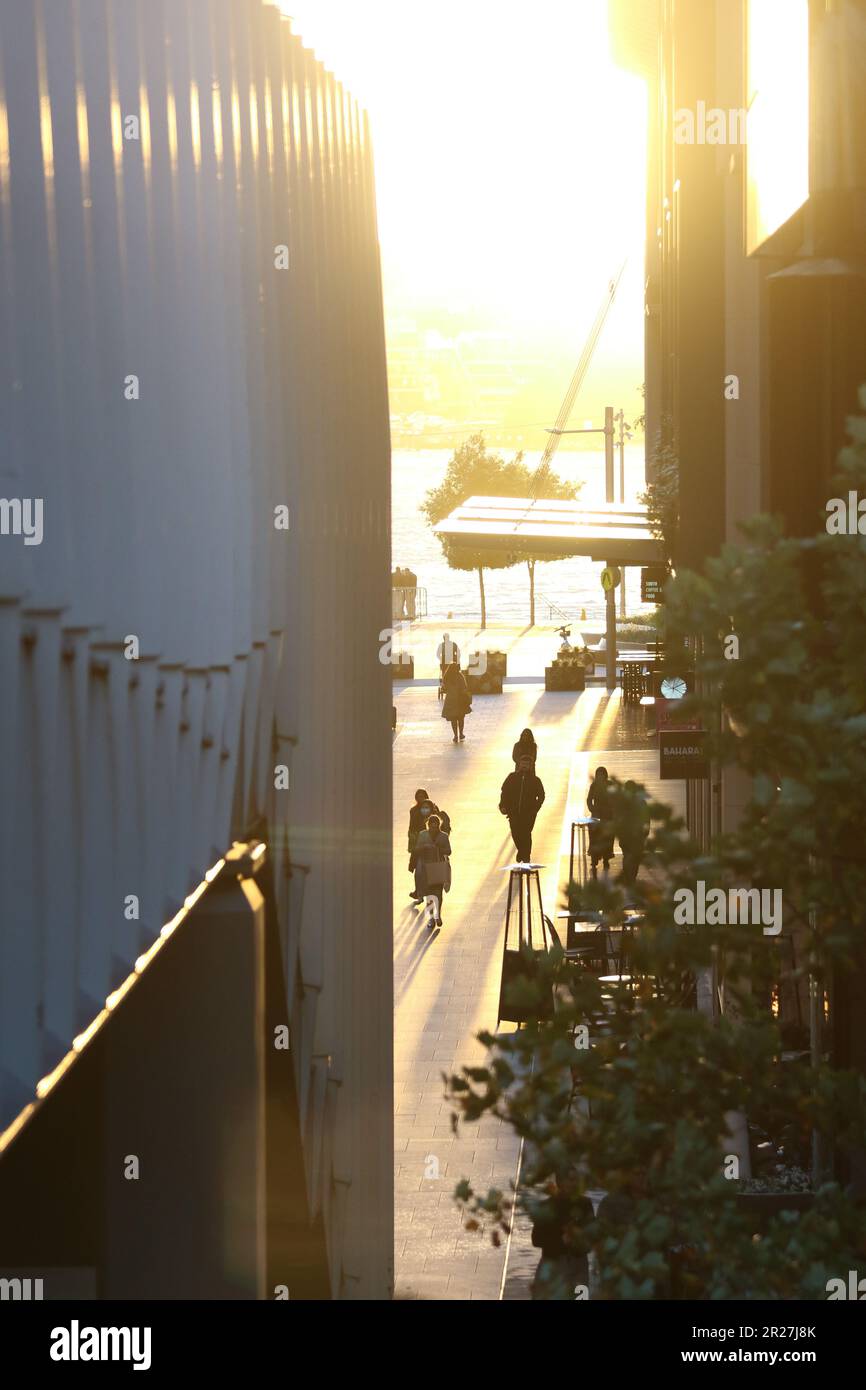 Sunset at Barangaroo in Sydney, Australia Stock Photo - Alamy