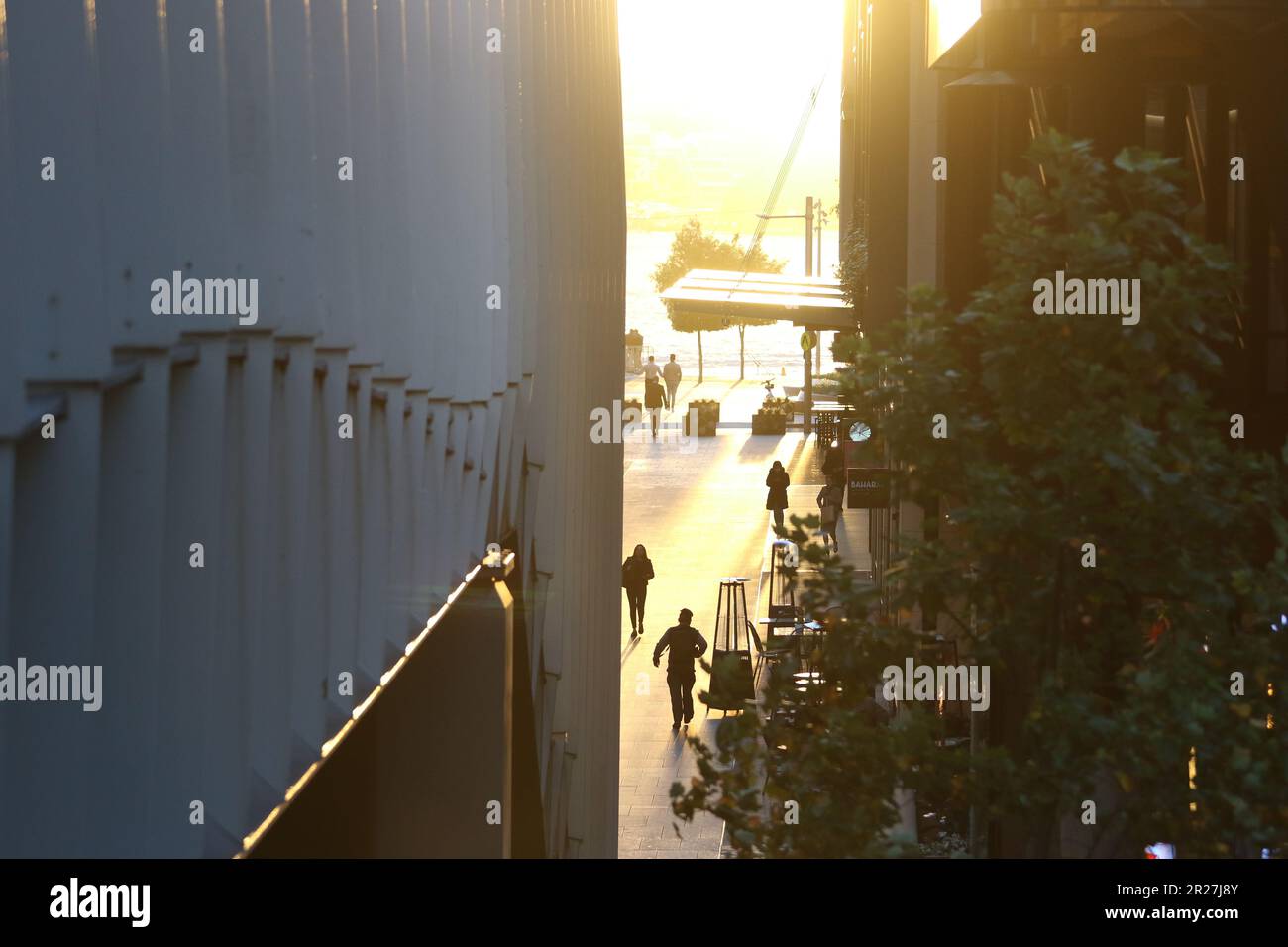 Sunset at Barangaroo in Sydney, Australia Stock Photo - Alamy