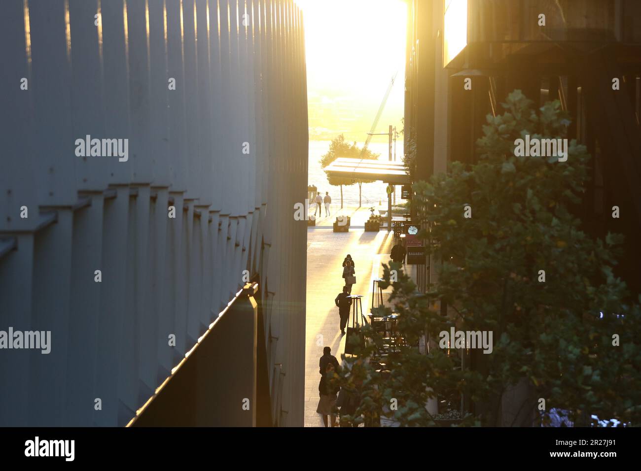 Sunset at Barangaroo in Sydney, Australia Stock Photo - Alamy