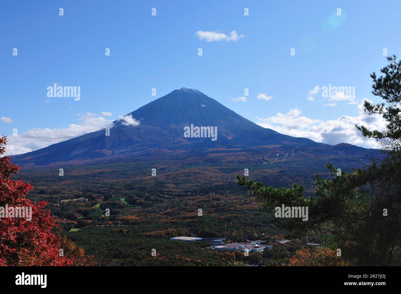 Mount leaf hi-res stock photography and images - Alamy