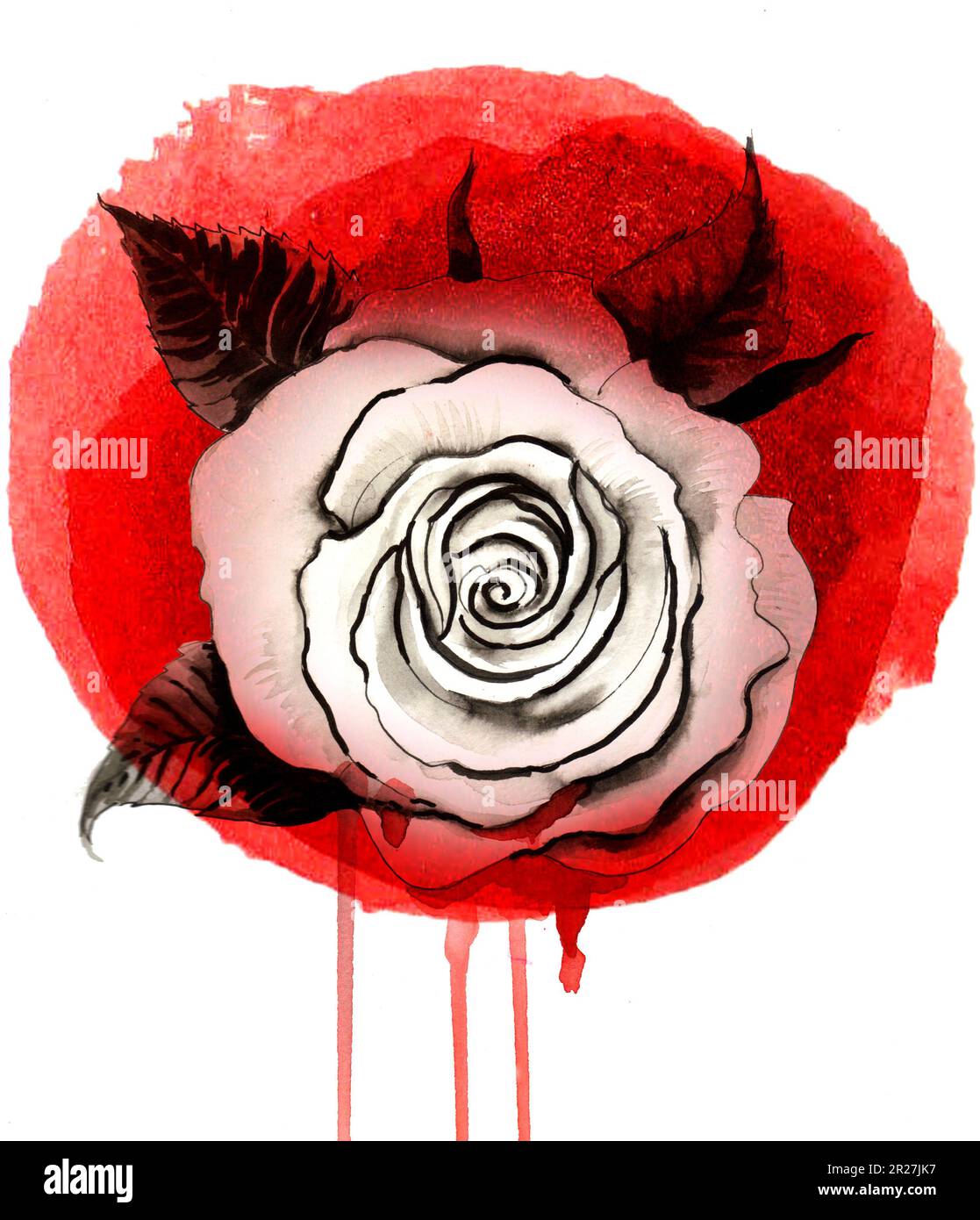 Bleeding rose hi-res stock photography and images - Alamy
