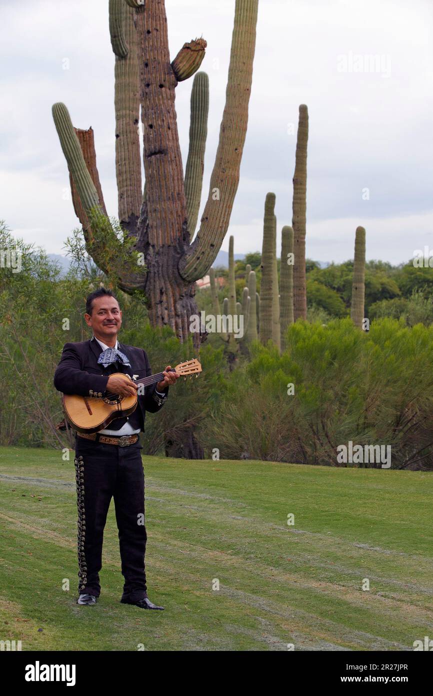 Musicians playing in mariachi band hi-res stock photography and images ...