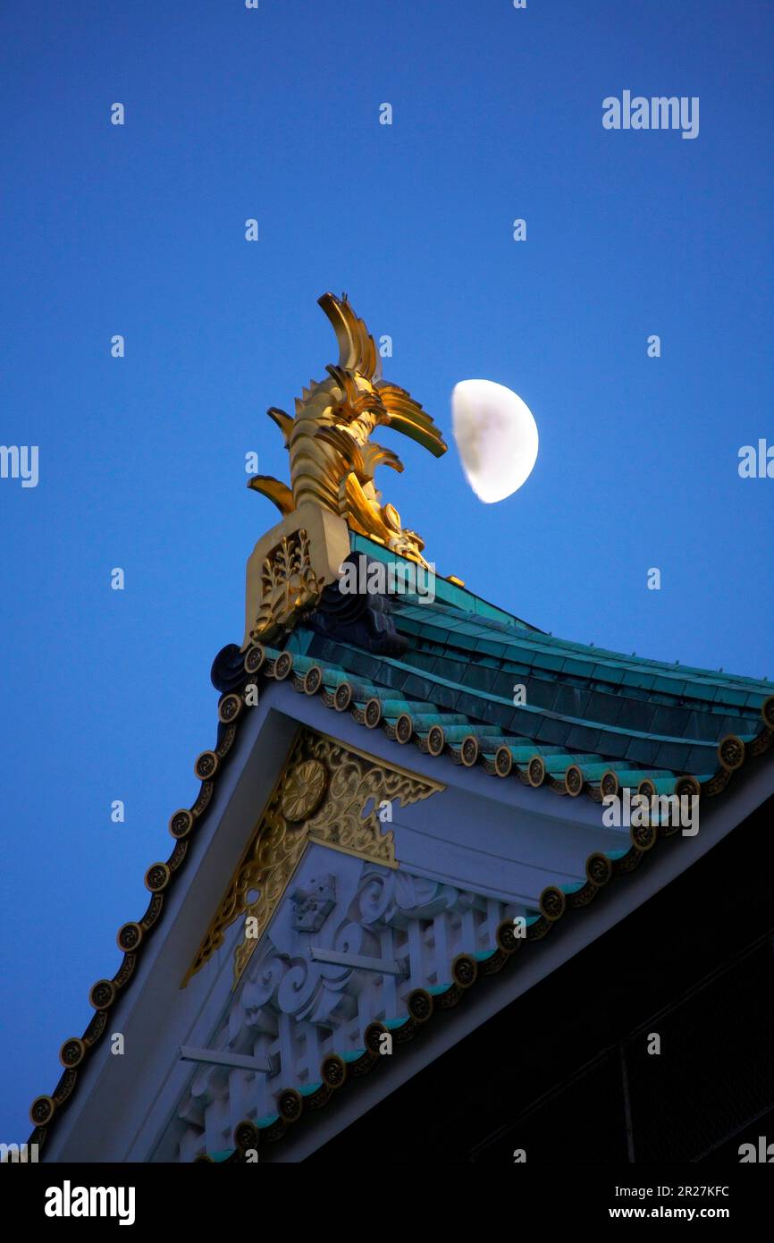 Yellow osaka hi-res stock photography and images - Alamy