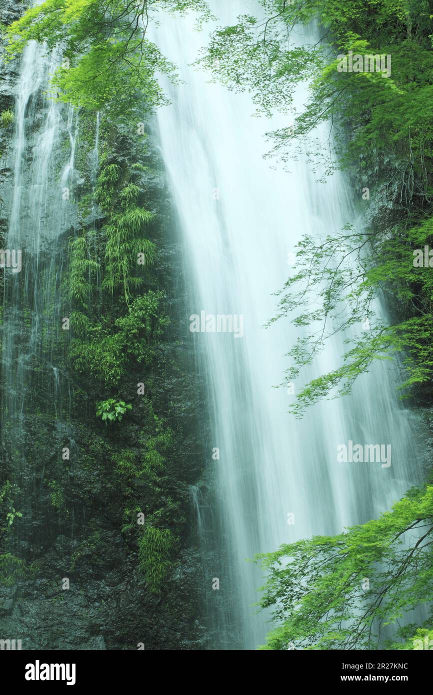 Minoh hi-res stock photography and images - Alamy