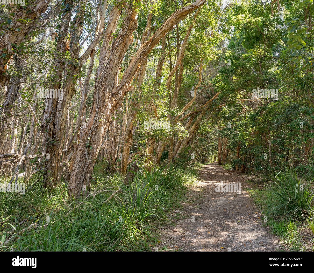 Elanda hi-res stock photography and images - Alamy