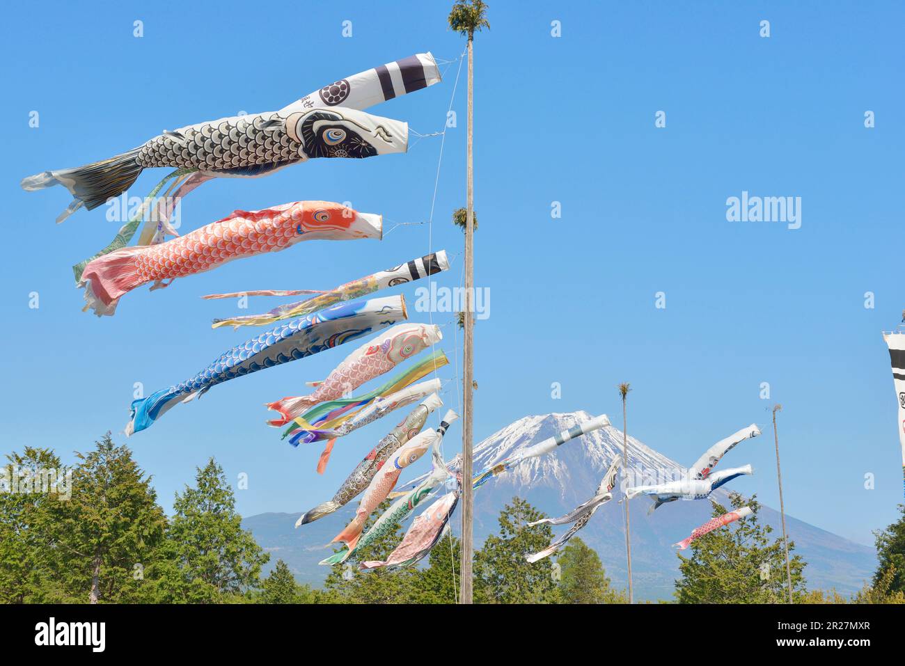 Mount Fuji and carp banner Stock Photo - Alamy