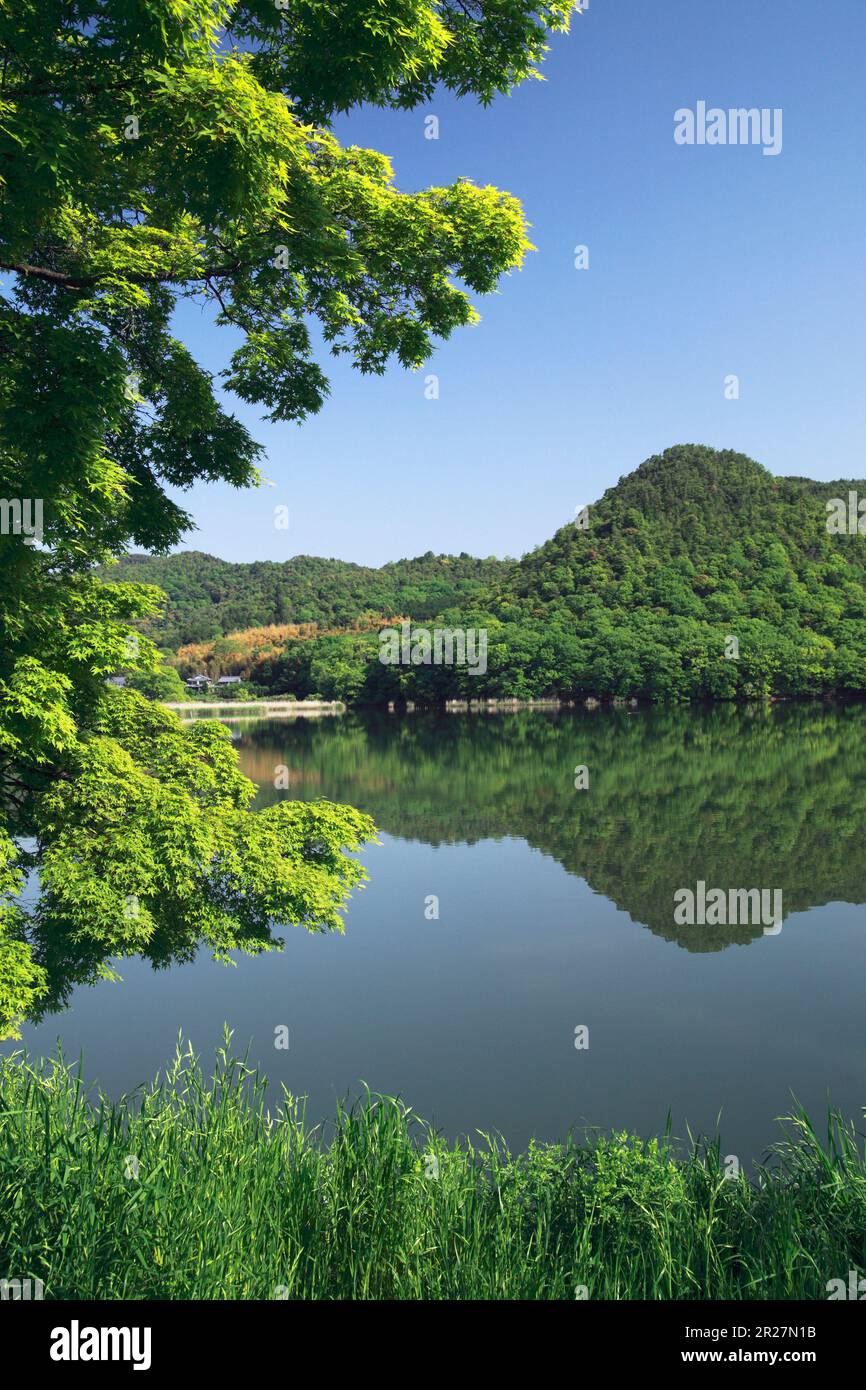 Hirosawa pond kyoto japan hi-res stock photography and images - Alamy