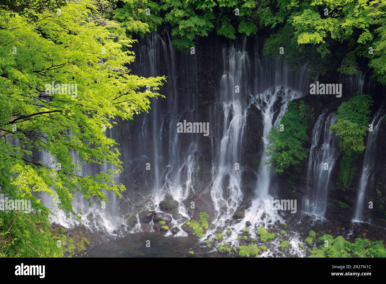 Fresh greenery and Shiraito-no-waterfall Stock Photo - Alamy