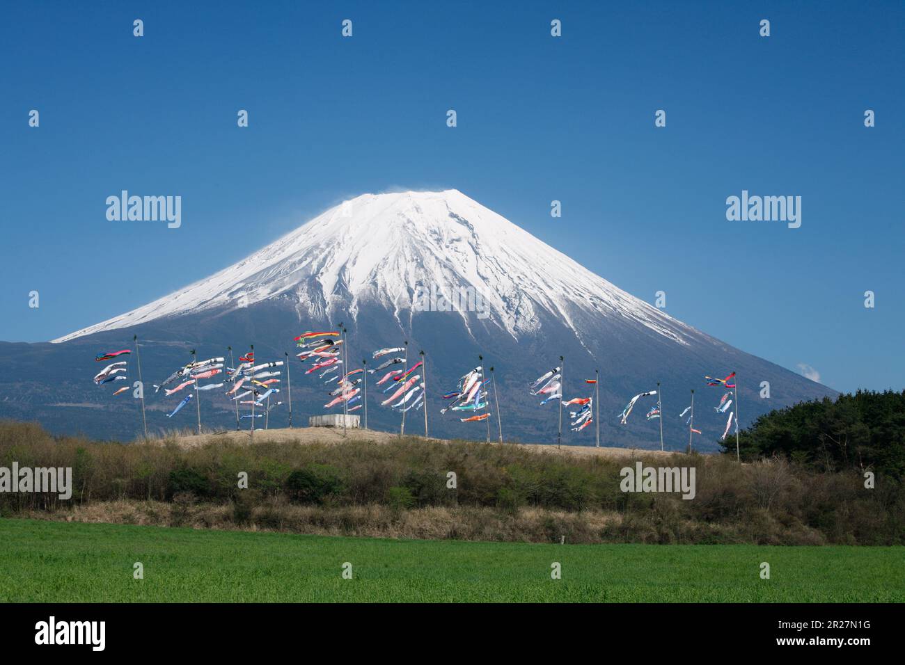 Carp shaped streamers hi-res stock photography and images - Alamy