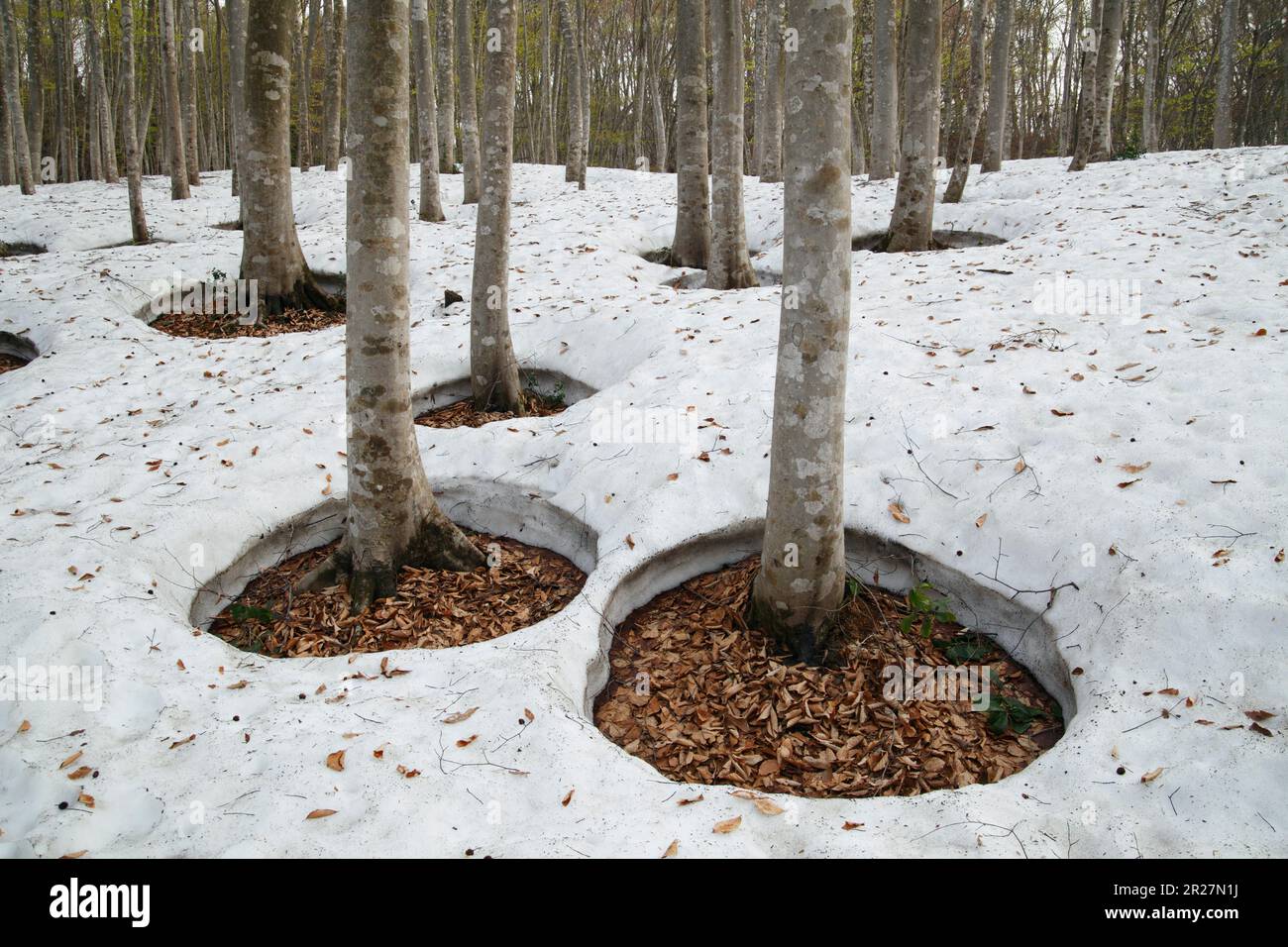 Snow caps hi-res stock photography and images - Alamy