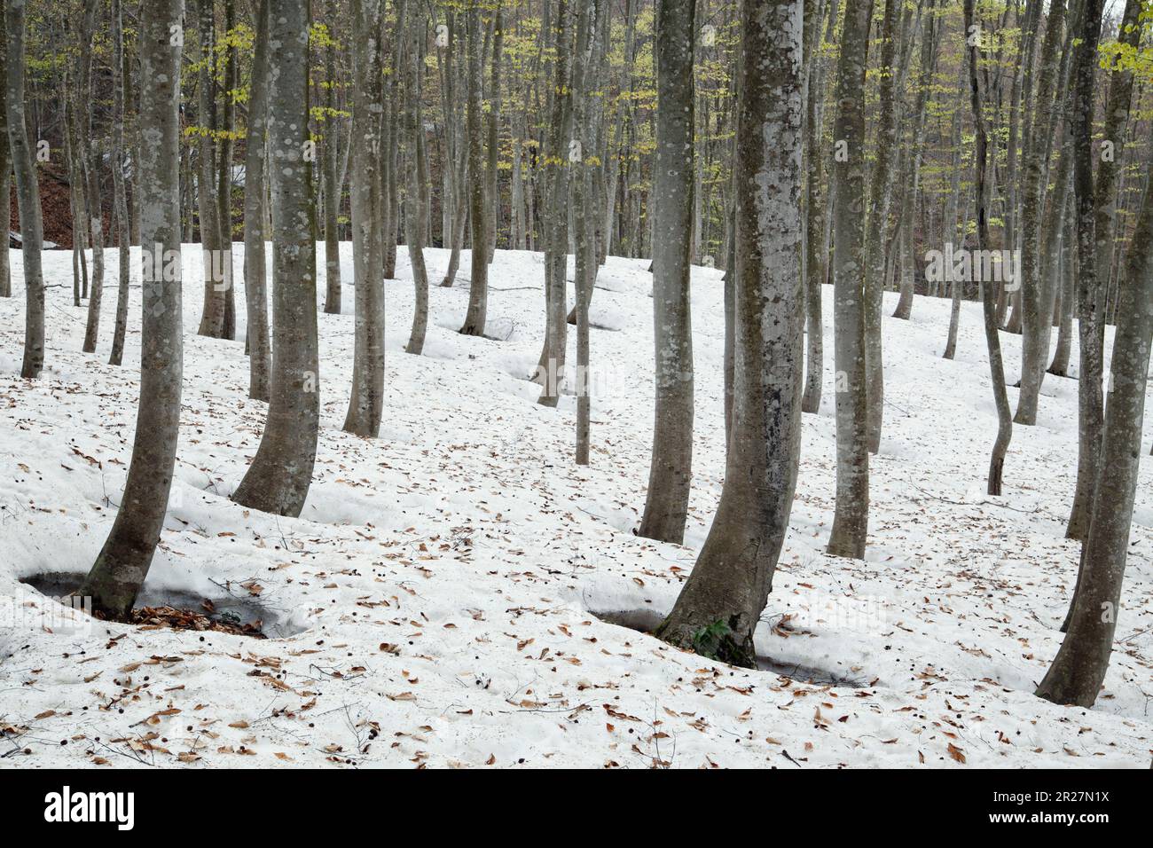 Snow caps hi-res stock photography and images - Alamy