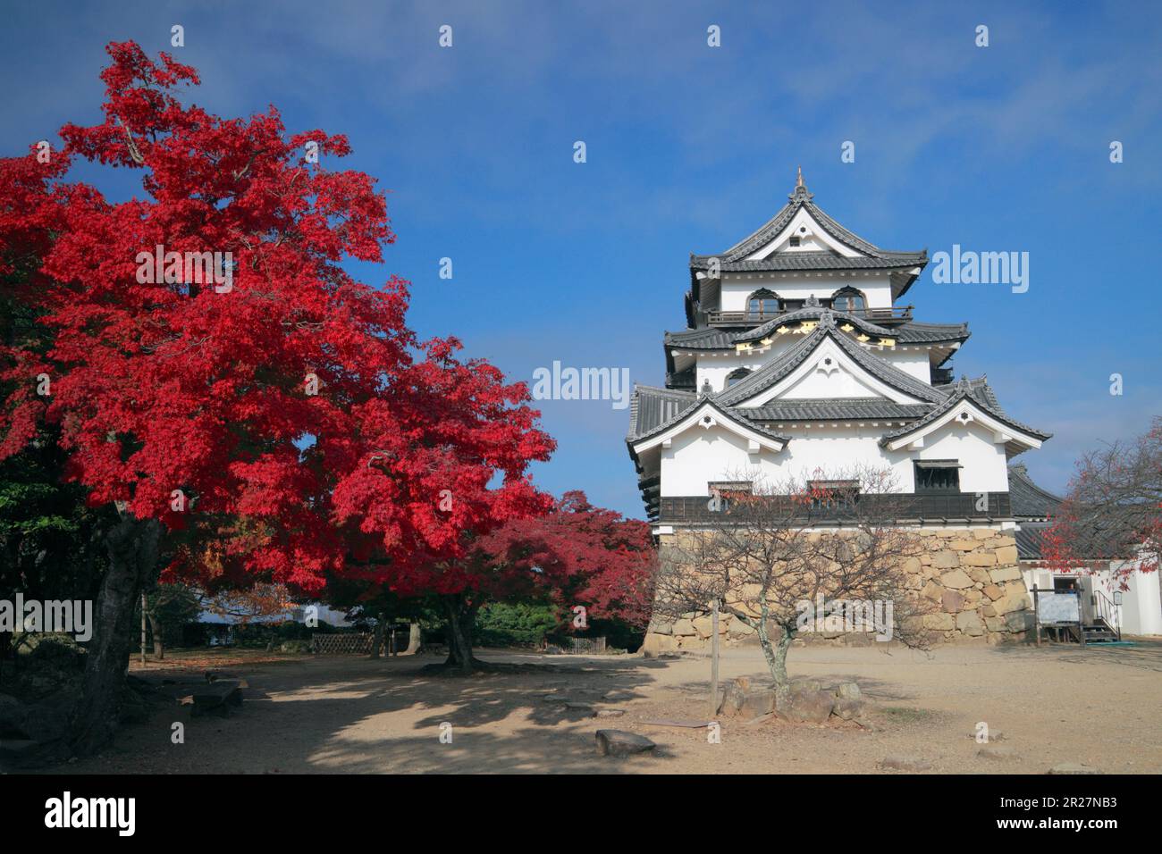 Fall foliage and the Hikone Castle Stock Photo - Alamy