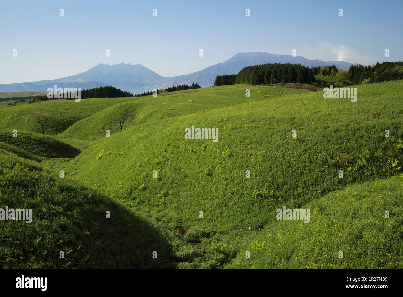 Grassland of the Aso Caldera and Mt. Aso Stock Photo - Alamy