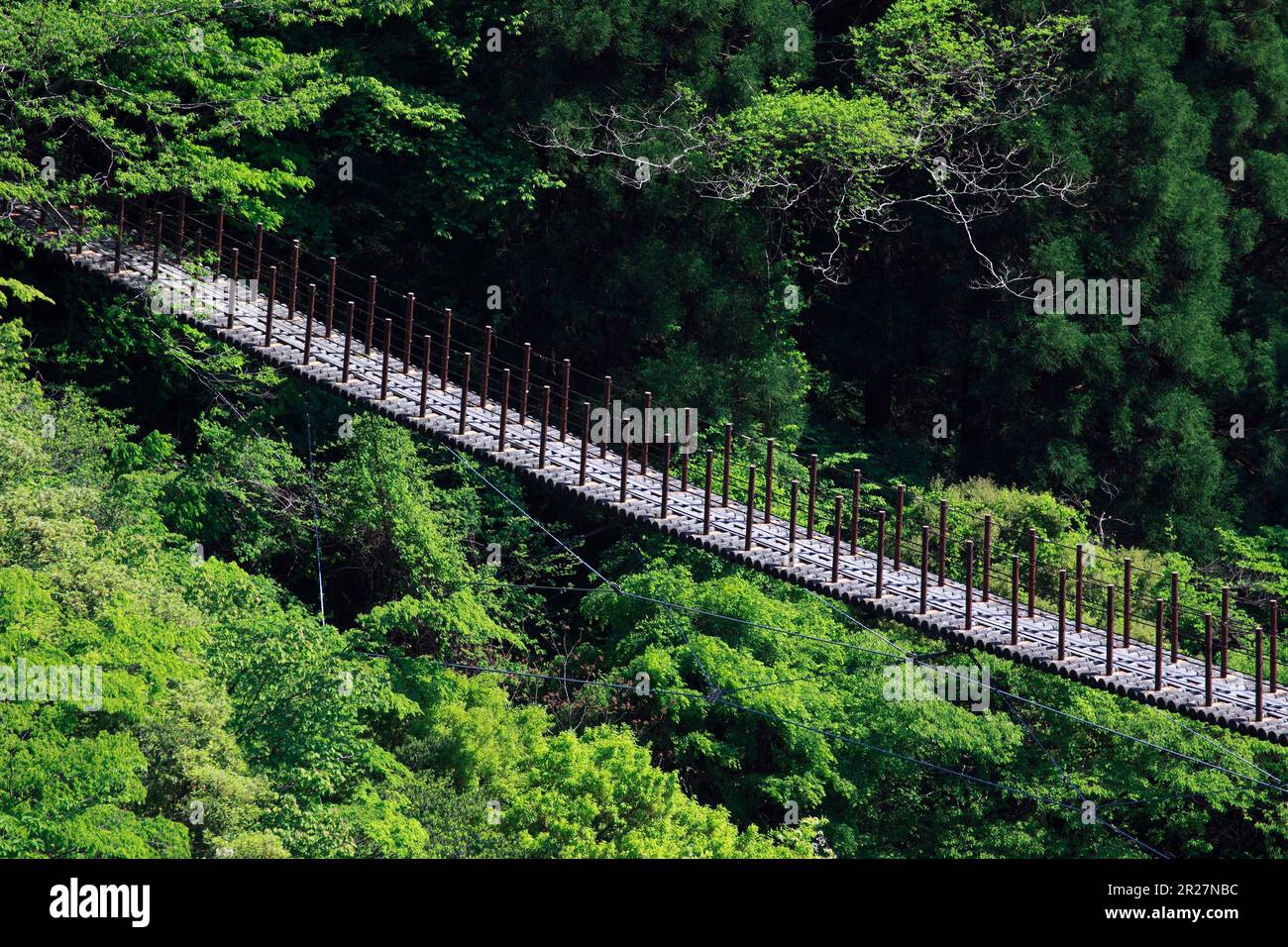 Momiki Suspension Bridge, Gokanosho Stock Photo - Alamy