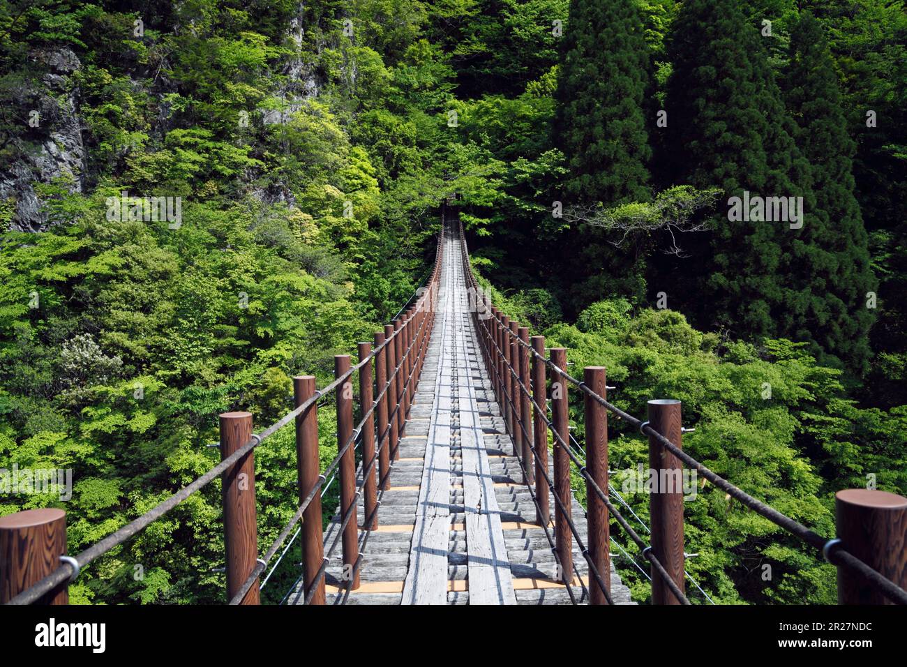 Momiki Suspension Bridge, Gokanosho Stock Photo - Alamy