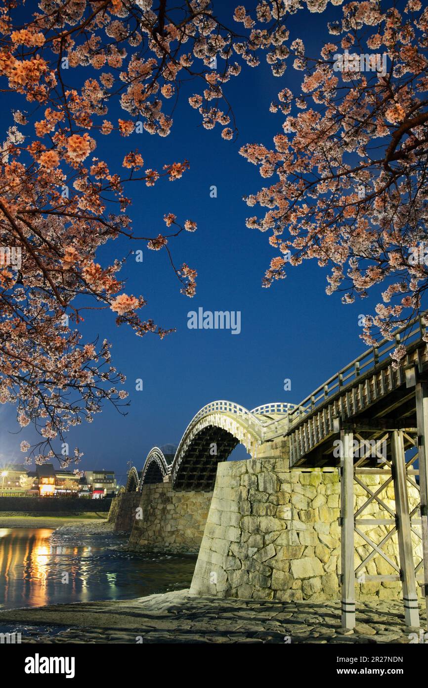 Kintai Bridge with blooming cherry blossoms at night Stock Photo - Alamy