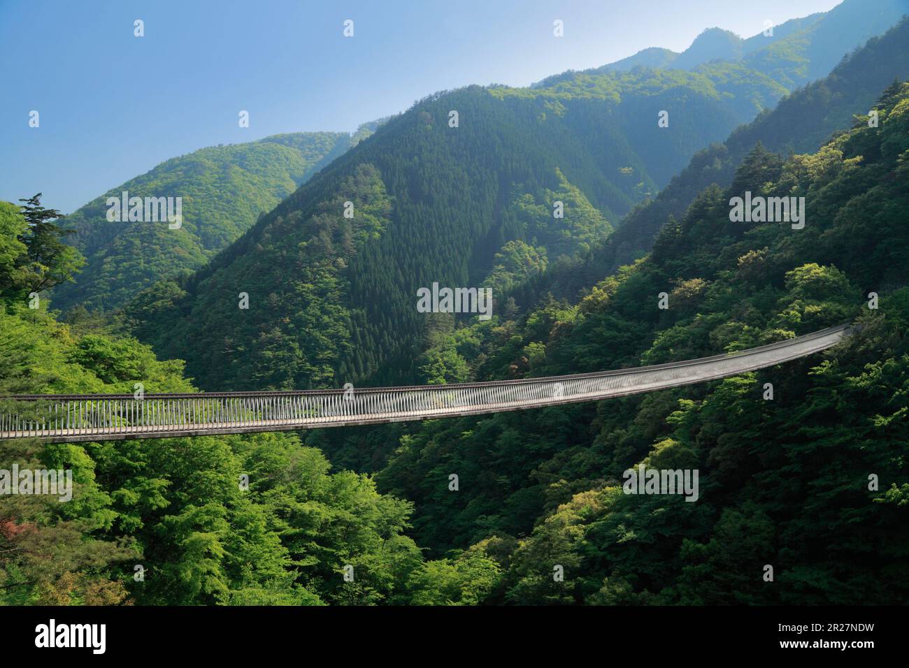Ume no Ki Todoro Park Suspension Bridge in Gokanosho Stock Photo - Alamy