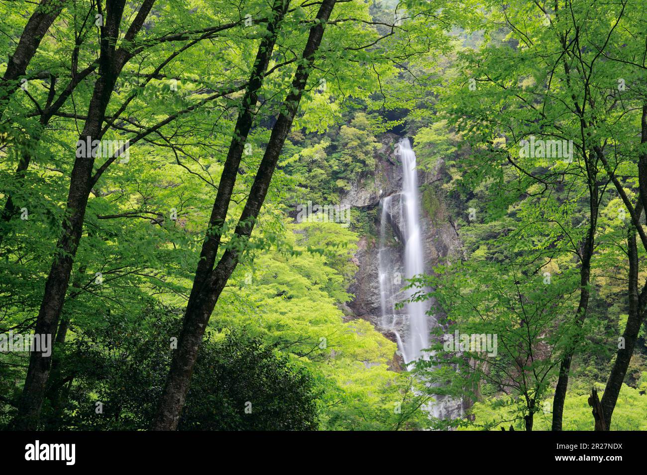 Sendan todorokinotaki hi-res stock photography and images - Alamy