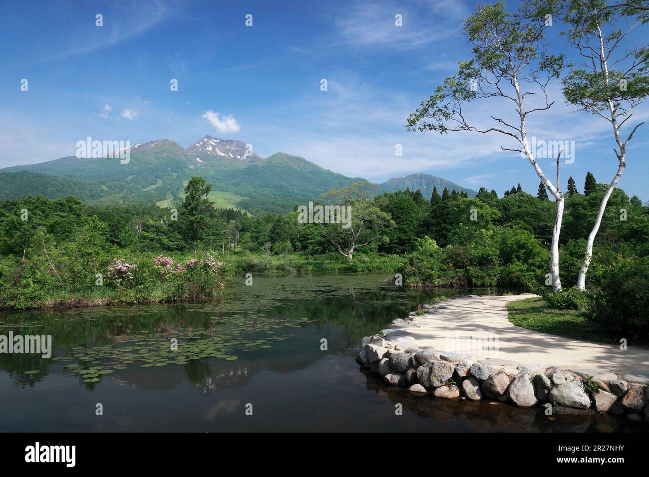 Freshly green Imori Pond and Mount Myoko Stock Photo - Alamy