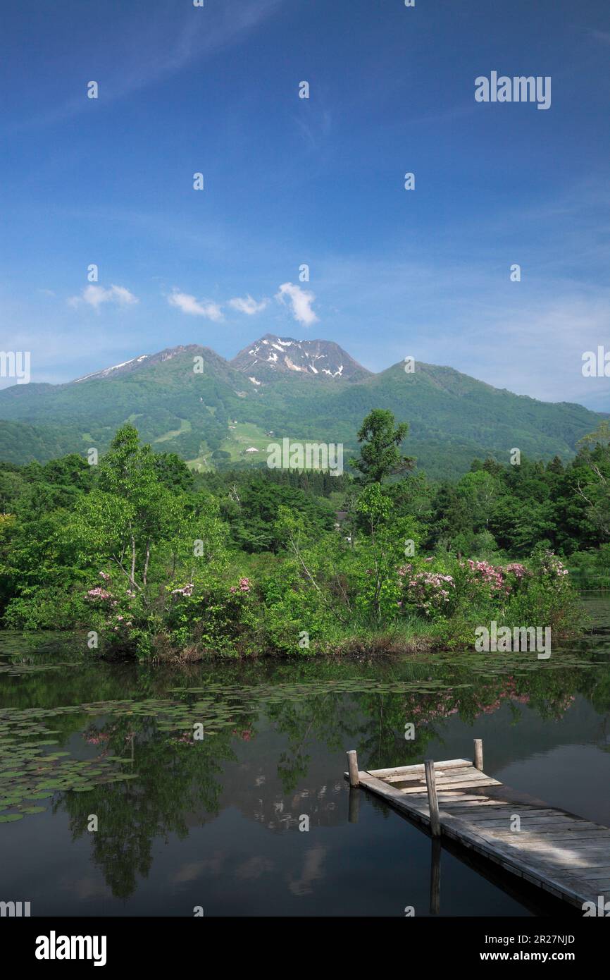 Freshly green Imori Pond and Mount Myoko Stock Photo - Alamy