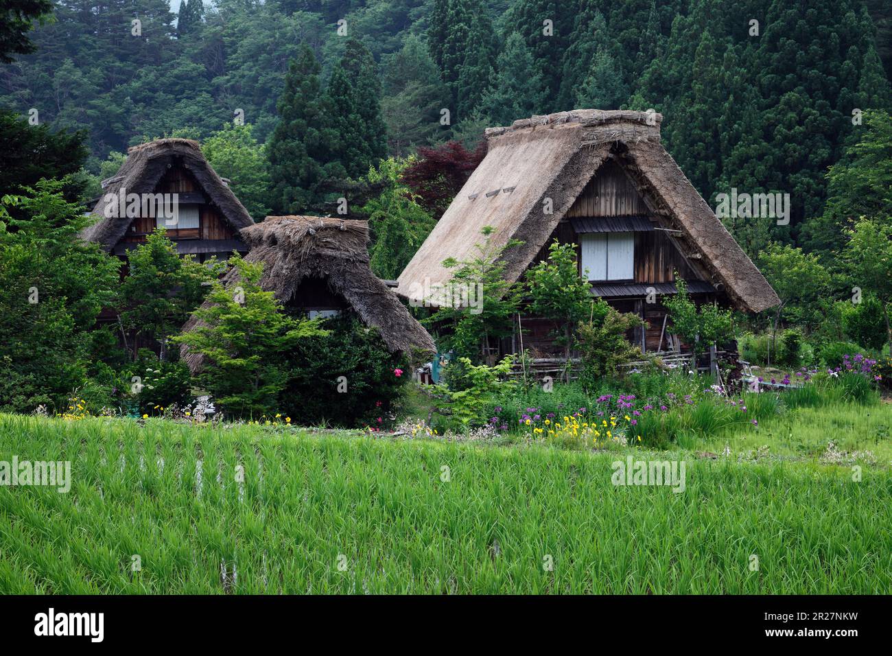 Shirakawago Gassho Minkaen Stock Photo - Alamy