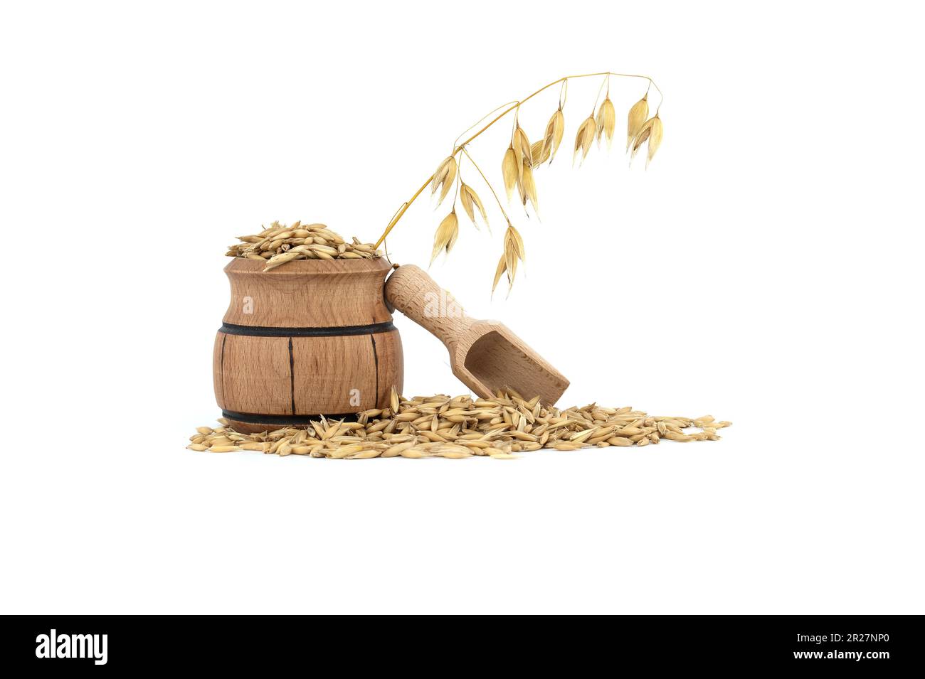 Heap of organic oat grains with hulls or husks in small wooden barrel ...