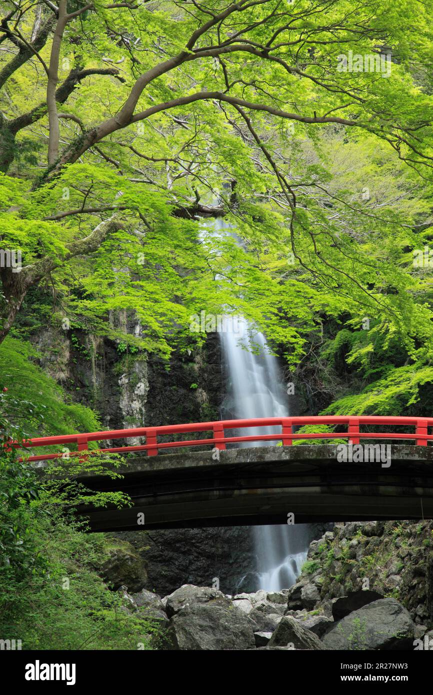 Fresh green and Minoh waterfall Stock Photo - Alamy