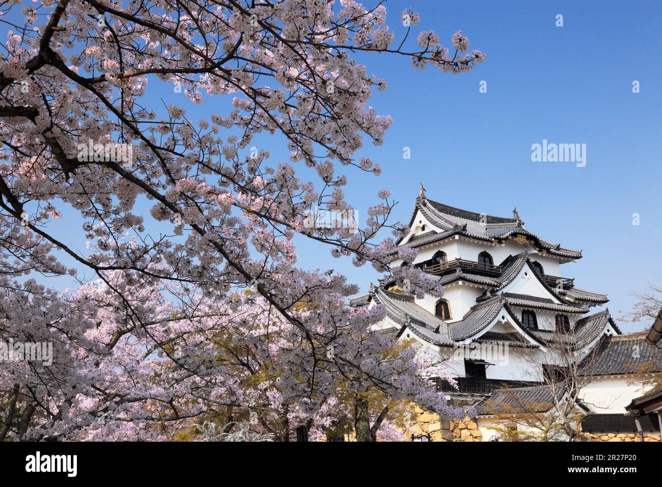 Hikonejo hi-res stock photography and images - Alamy