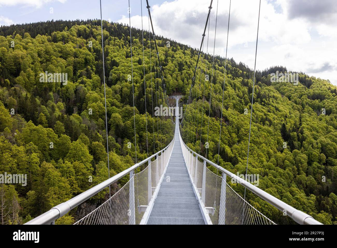 Todtnau, Germany. 17th May, 2023. A suspension bridge crosses a valley ...
