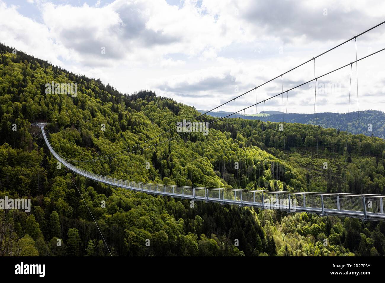 Todtnau, Germany. 17th May, 2023. A suspension bridge crosses a valley ...