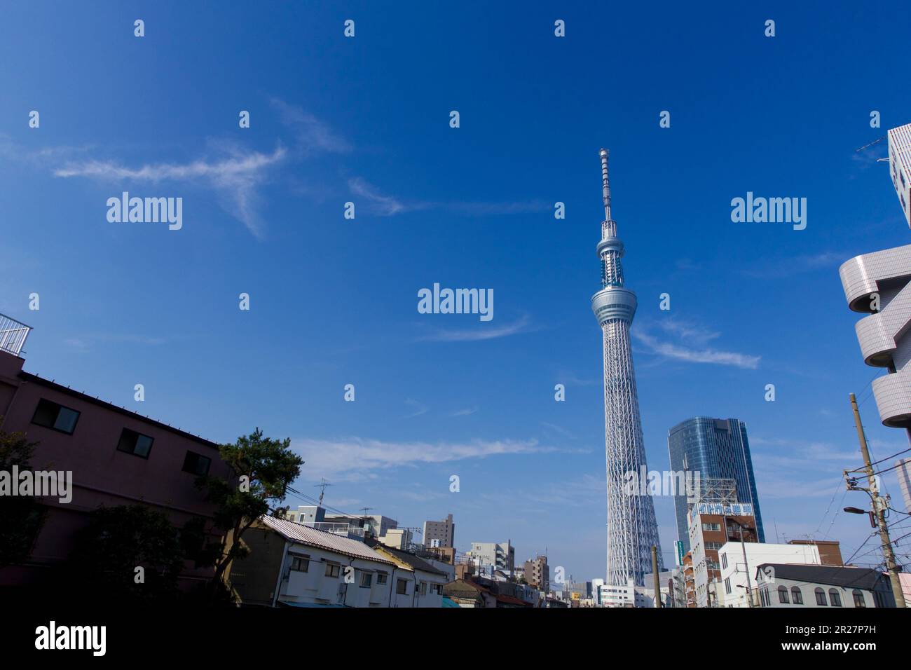 Sky Tree and the blue sky Stock Photo - Alamy