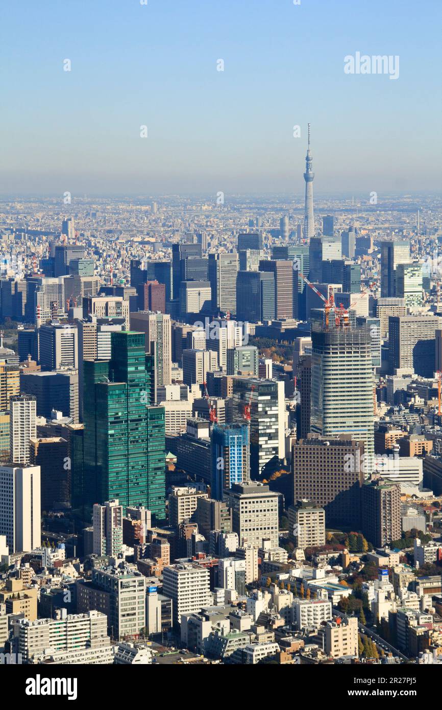 Skytree and Tokyo building complex Stock Photo - Alamy