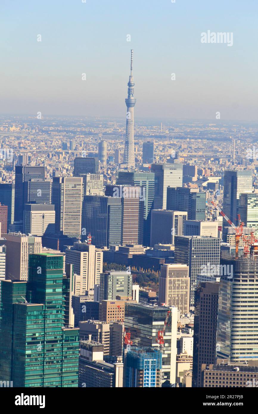 Skytree and Tokyo building complex Stock Photo - Alamy