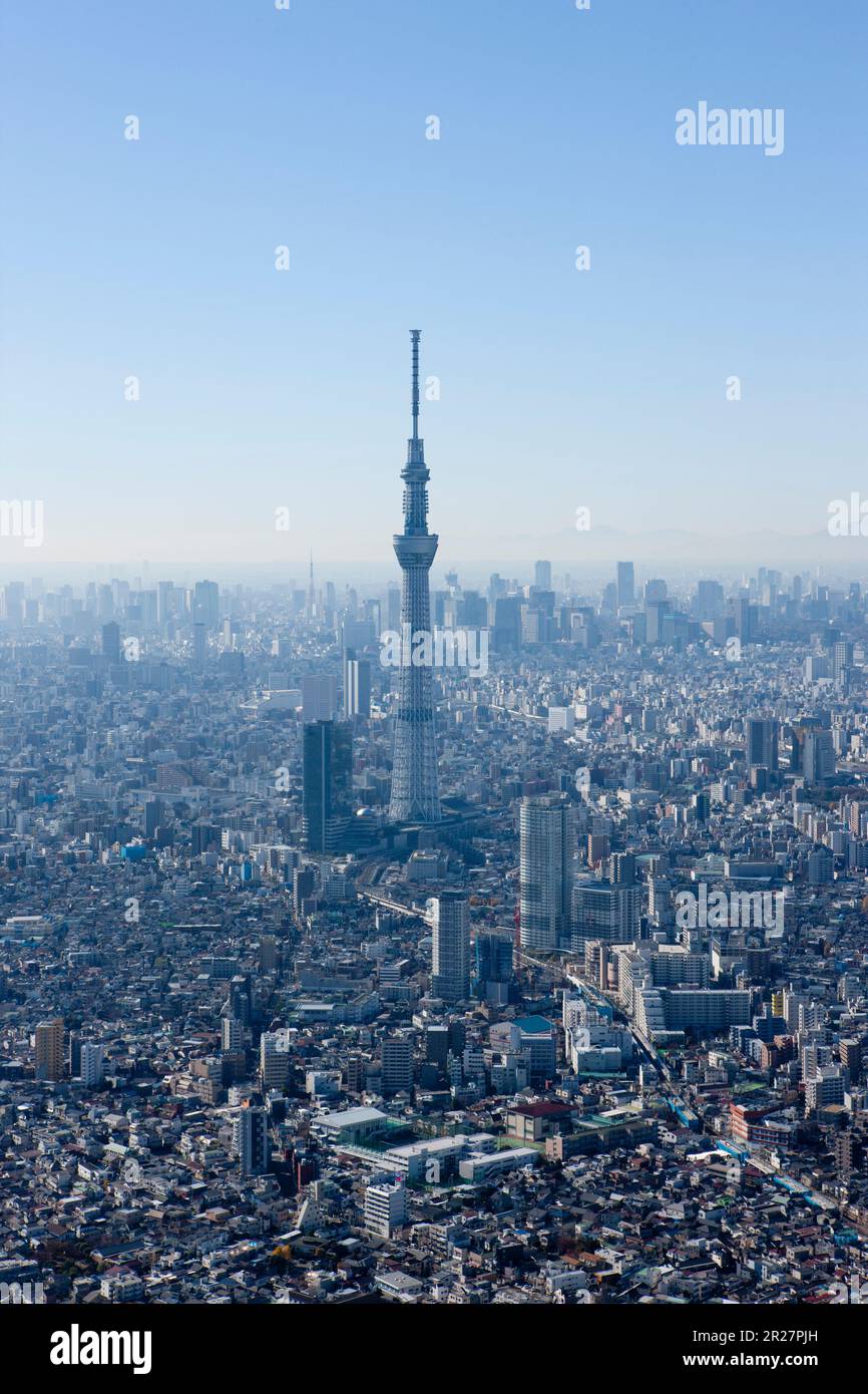 Skytree and Tokyo building complex Stock Photo - Alamy