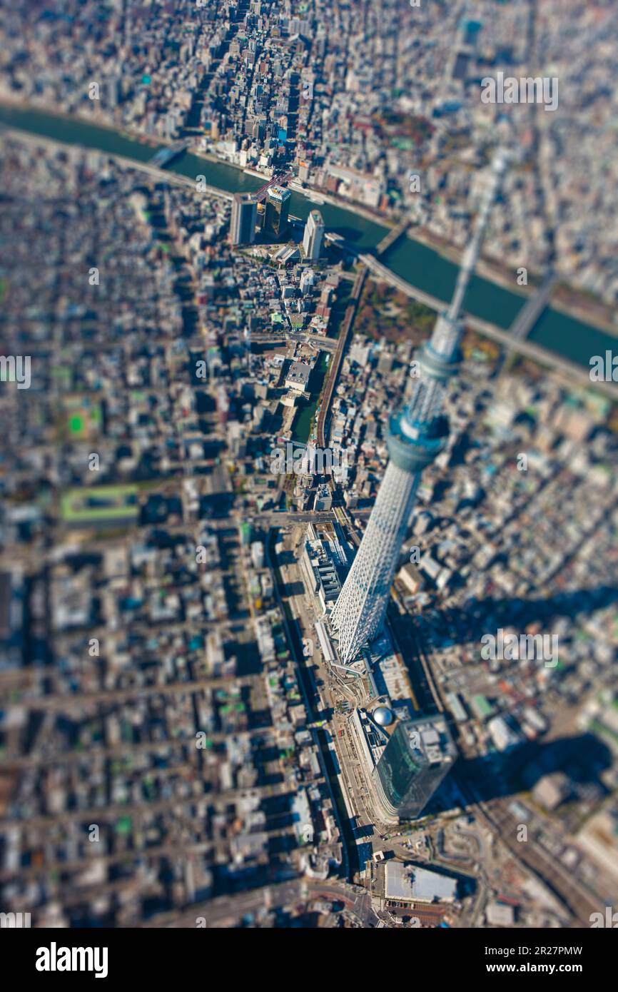 Miniature Sky Tree Stock Photo - Alamy