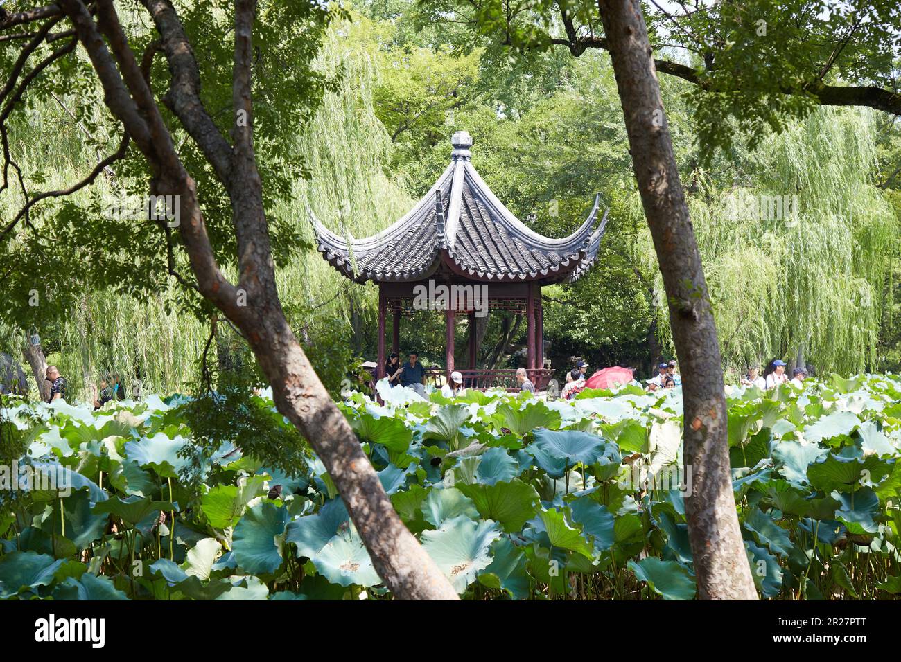 The traditional Chinese gardens of Suzhou are widely considered the ...