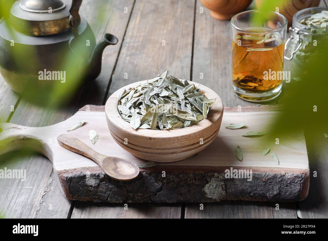 Senna tea plant hi-res stock photography and images - Alamy