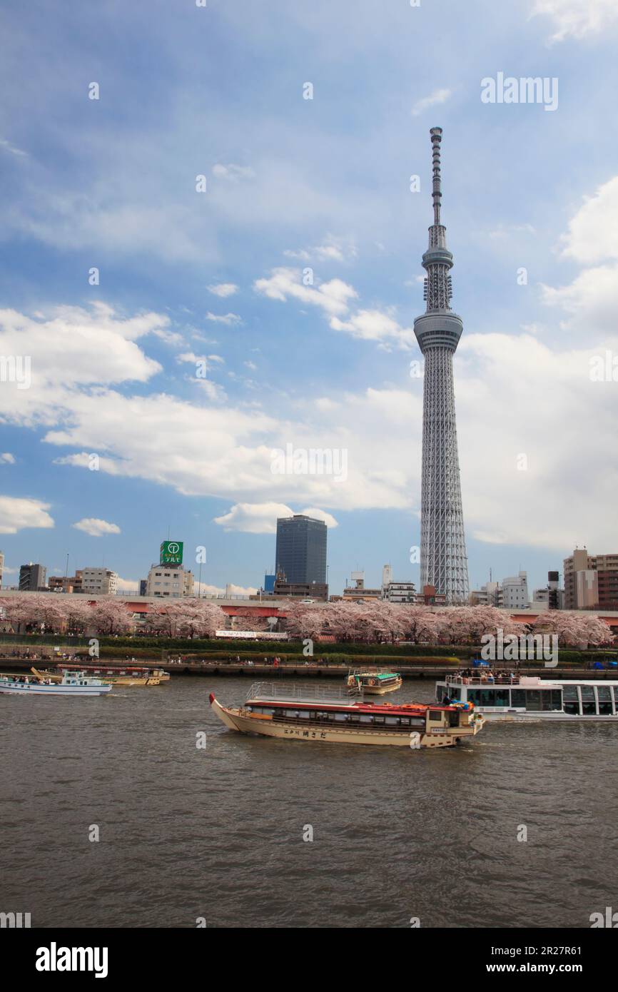 Japan cherry blossom river sumida hi-res stock photography and images ...