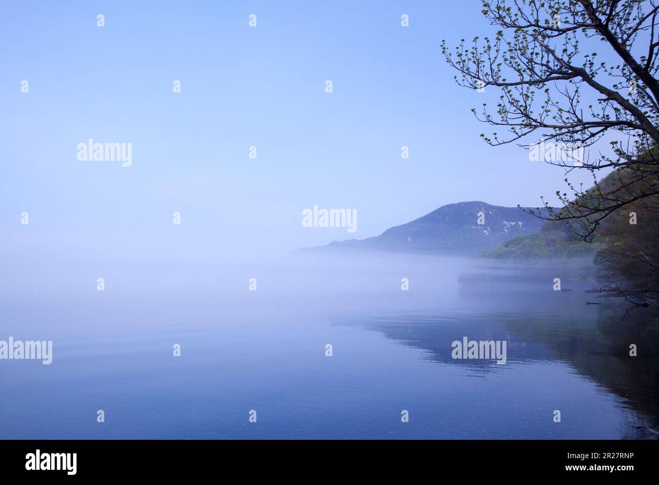 Lakeside nature hi-res stock photography and images - Alamy