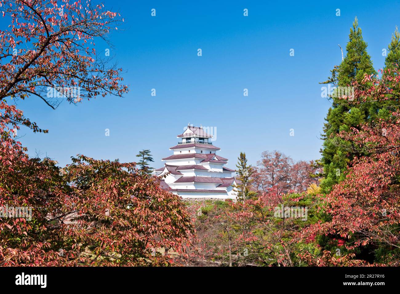 Tsuruga and autumn hi-res stock photography and images - Alamy