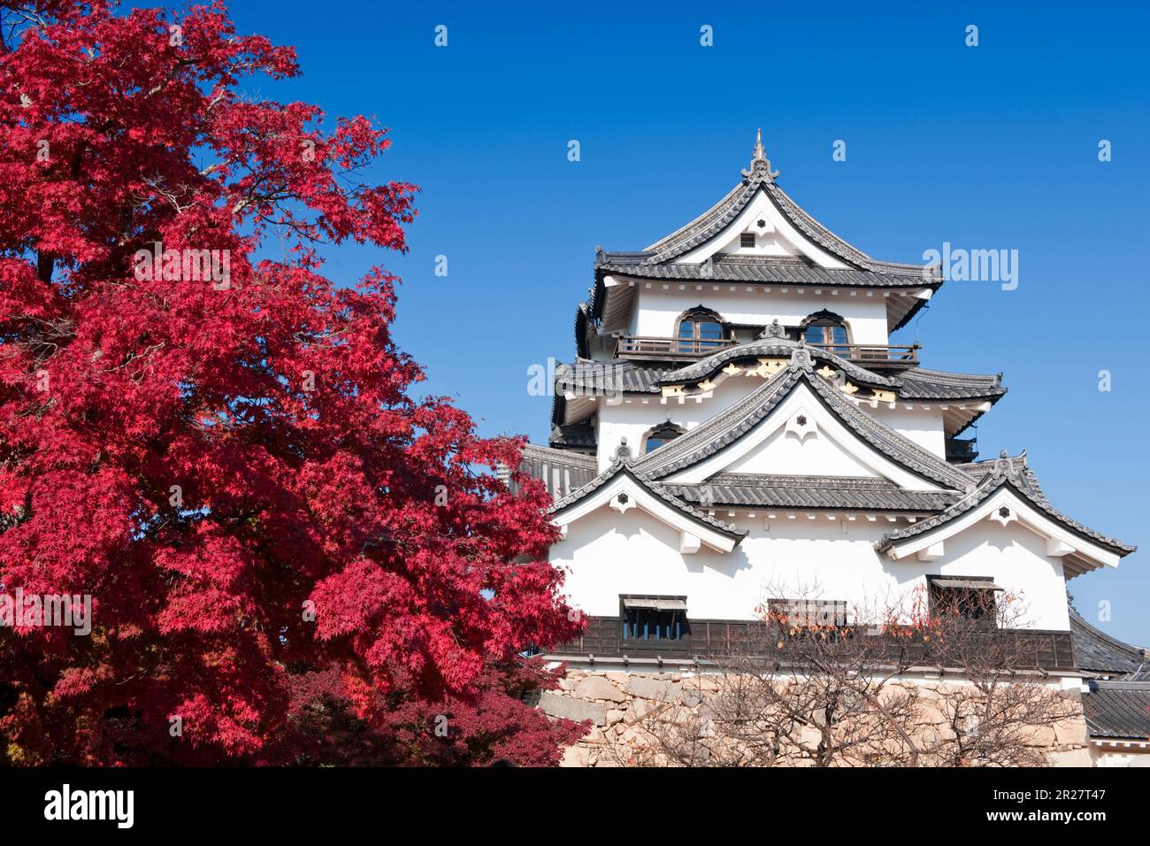 Fall foliage and the Hikone Castle Stock Photo - Alamy
