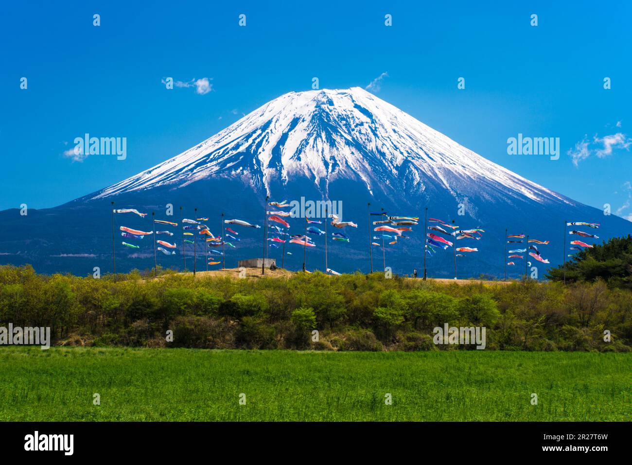Carp banner and Mount Fuji Stock Photo - Alamy