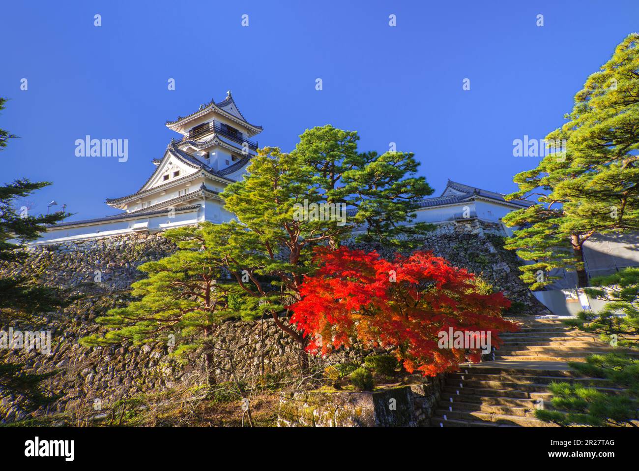 Fall colors and Kochi Castle Stock Photo - Alamy