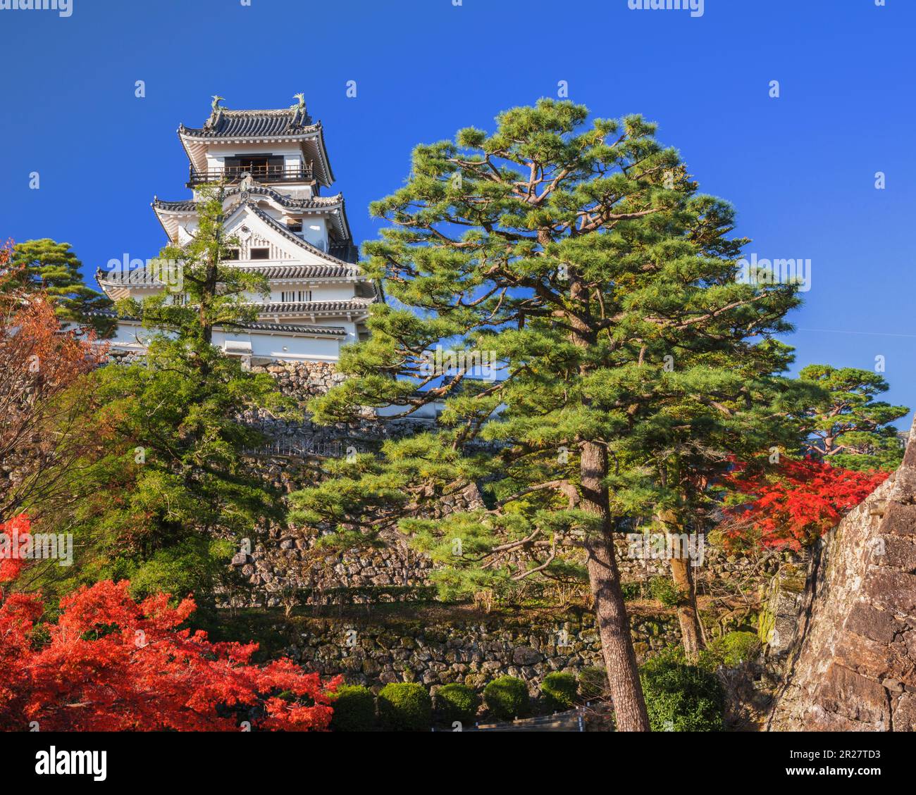 Fall colors and Kochi Castle Stock Photo - Alamy