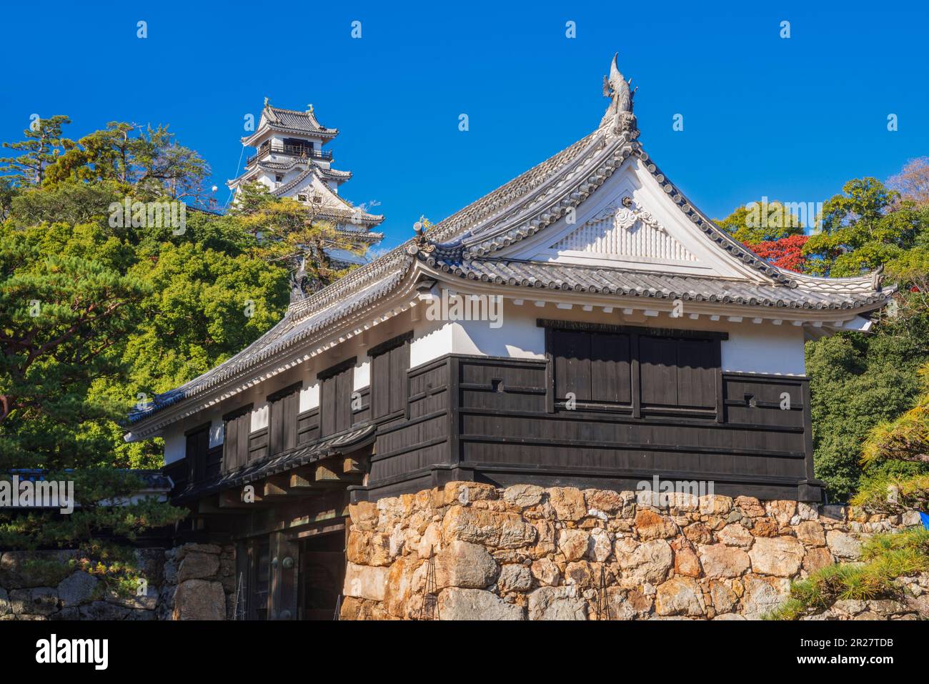 Kochi Castle and Otemon gate Stock Photo - Alamy