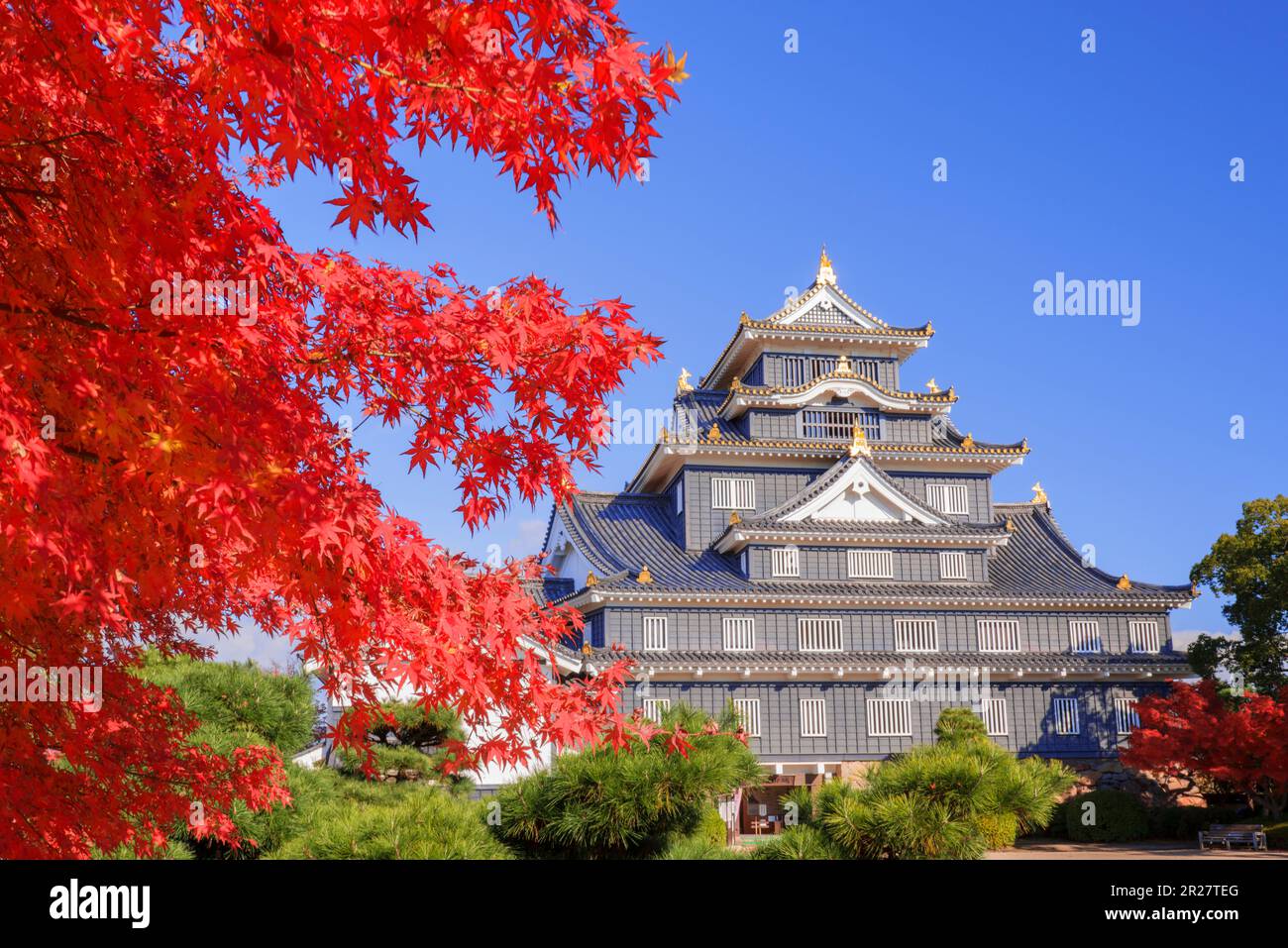 Fall colors and Okayama Castle Stock Photo - Alamy