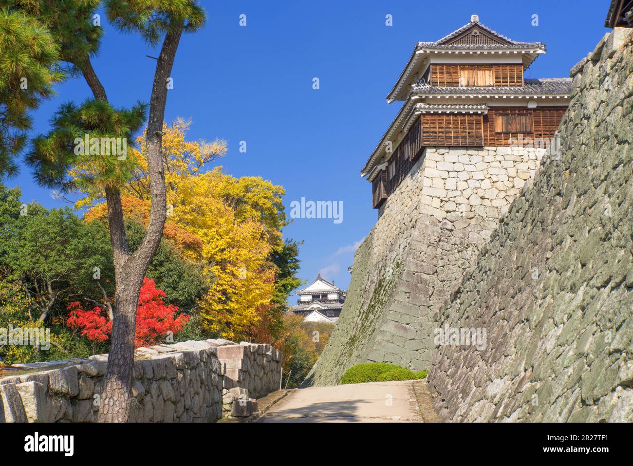 Fall colors and Matsuyama Castle Stock Photo - Alamy