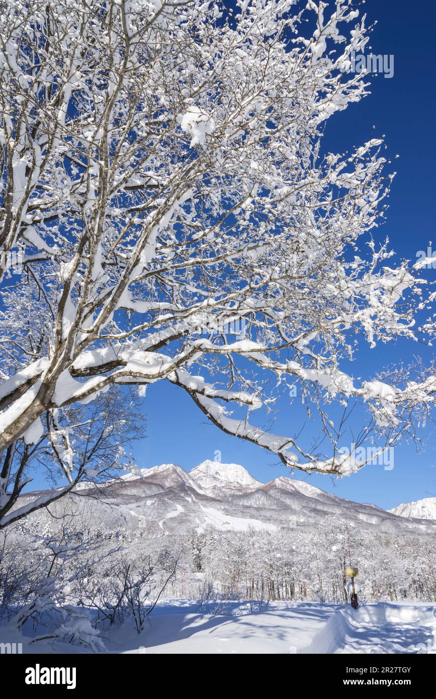 Mount myoko hi-res stock photography and images - Alamy