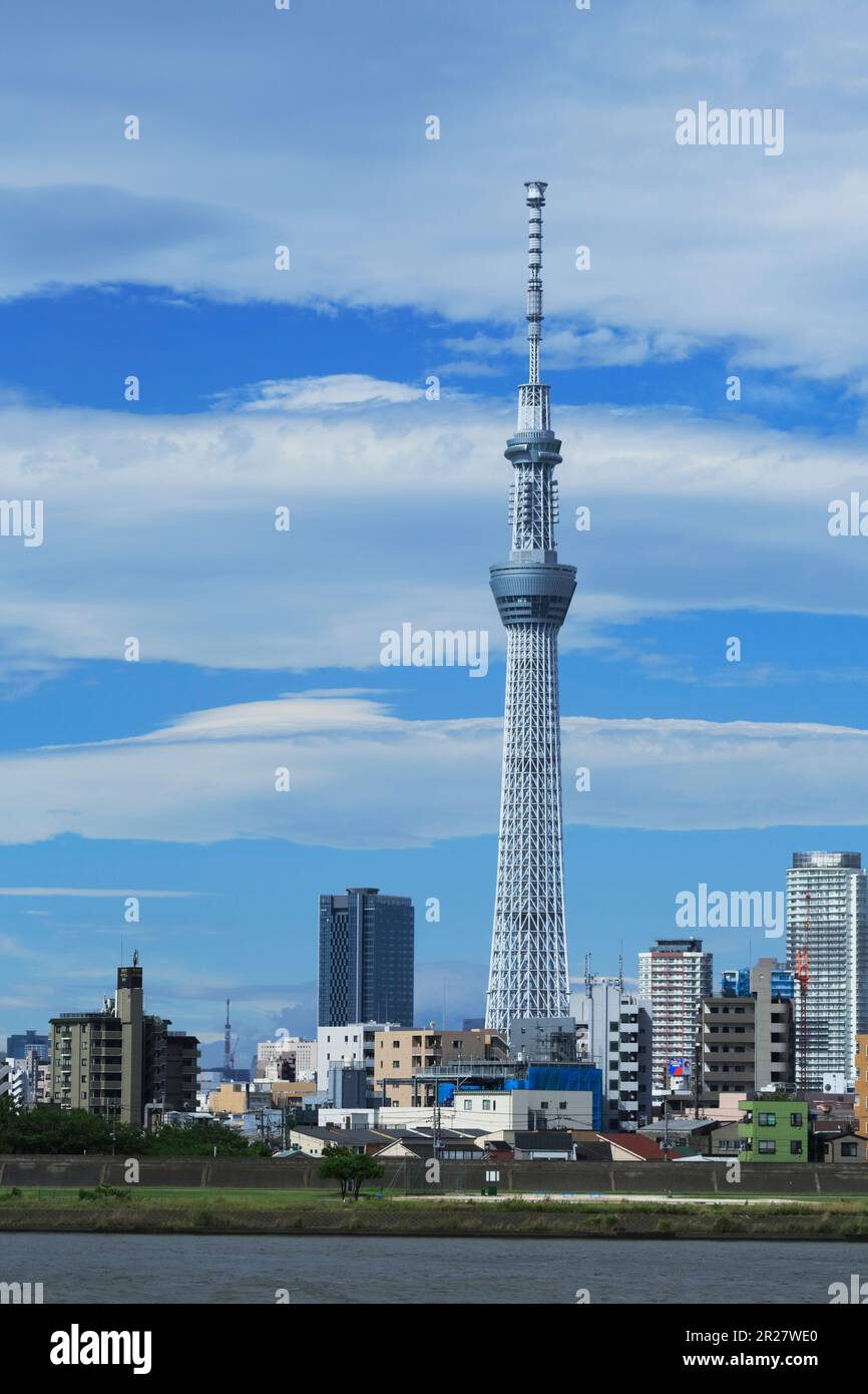Sky Tree in a typhoon and Tokyo Tower Stock Photo - Alamy